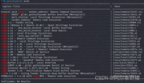实战打靶集锦-014-solstice_solstice靶标-CSDN博客