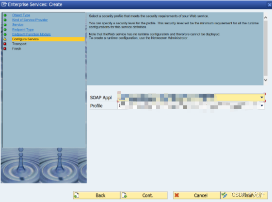 SAP Web Service-提供者_sap webservice provide-CSDN博客