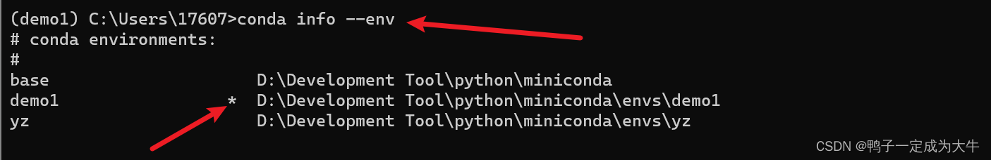 Windows与Linux安装miniconda并启动python项目及指令_python miniconda-CSDN博客
