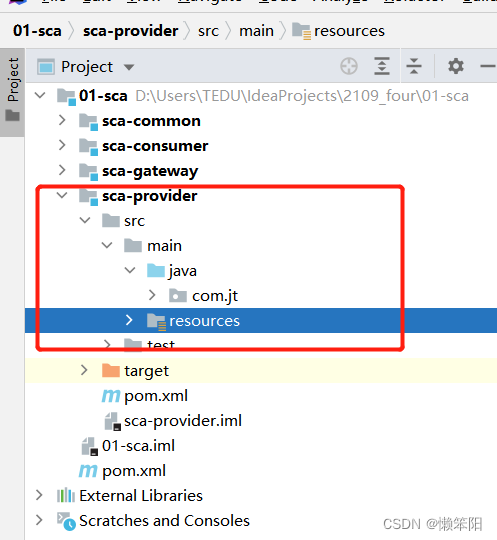 Nacos服务注册中心_nacos his_config_info_懂Java的懒阳阳的博客-CSDN博客