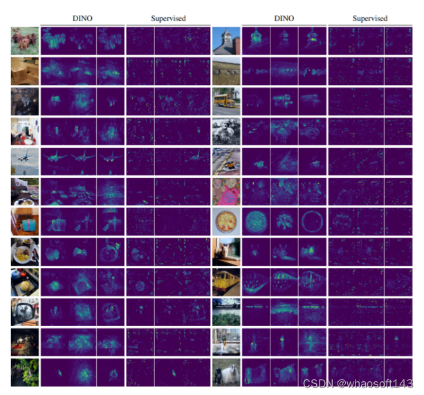 DINO~~_dino分类深度学习-CSDN博客