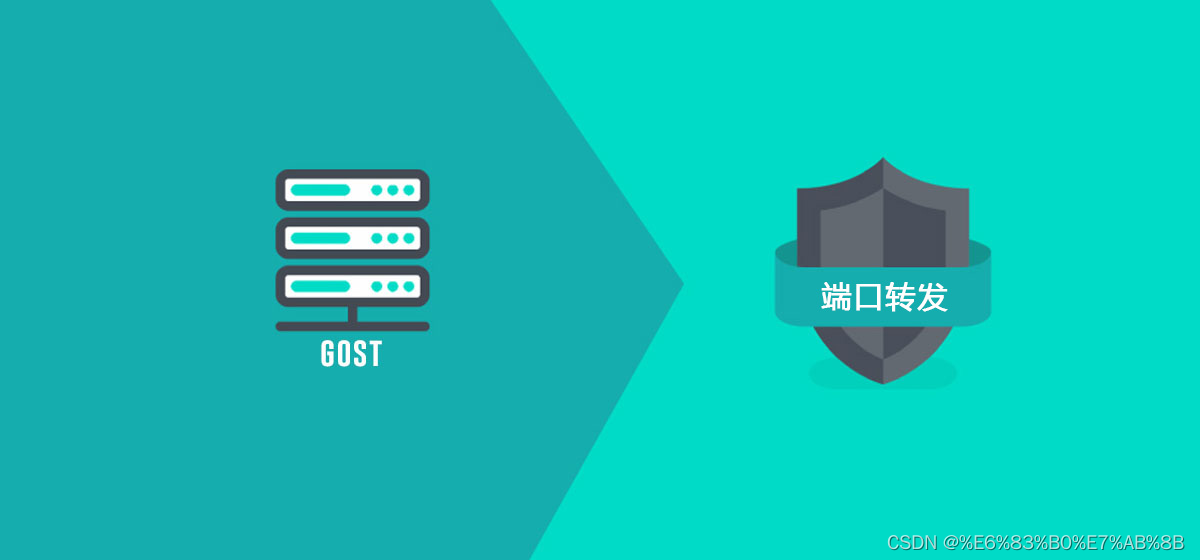 GOST端口转发-CSDN博客