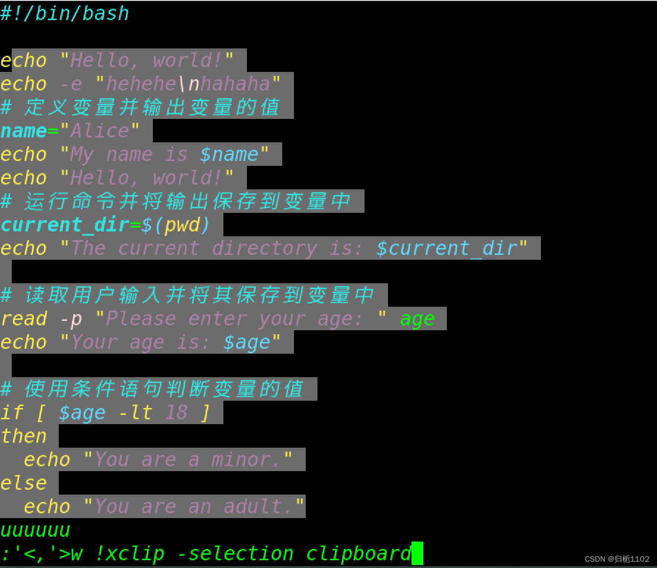 提高生产力：在vim和Windows中实现无缝复制粘贴_vim全选复制到windows-CSDN博客