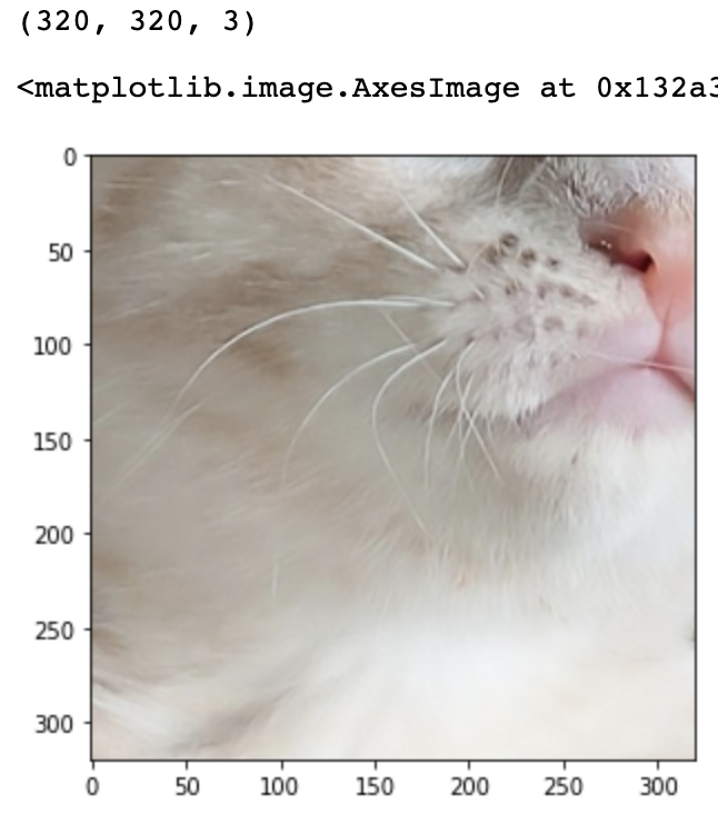 albumentations.HorizontalFlip、Rotate、RandomBrightnessContrast ...