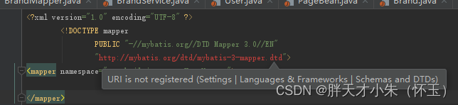 Javaweb:在resources下编辑配置文件出现http://mybatis.org/dtd/mybatis-3-mapper.dtd报红如何解决_java mapper中引入 ...