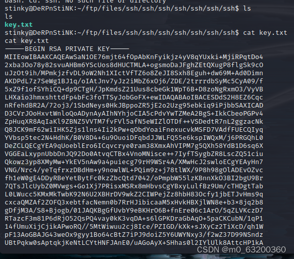 VulnHun实战——DerpNStink:1-CSDN博客