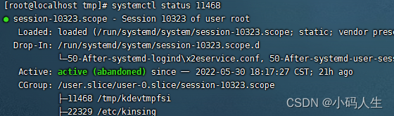 挖矿病毒kdevtmpfsi,kinsing进程隐藏解决_kinsing kdevtmpfs crontab-CSDN博客