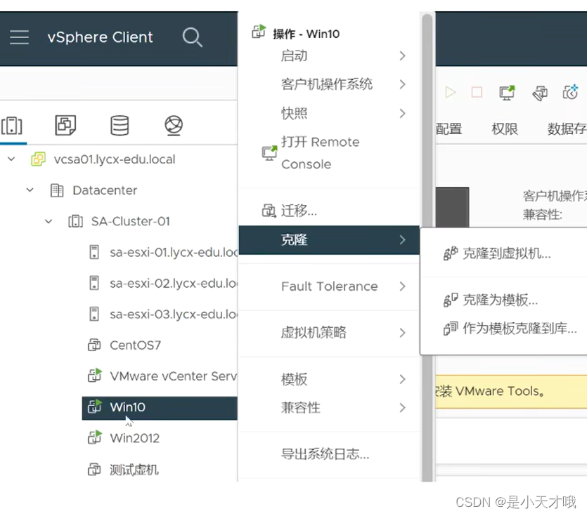 Vcenter server 服务使用-CSDN博客