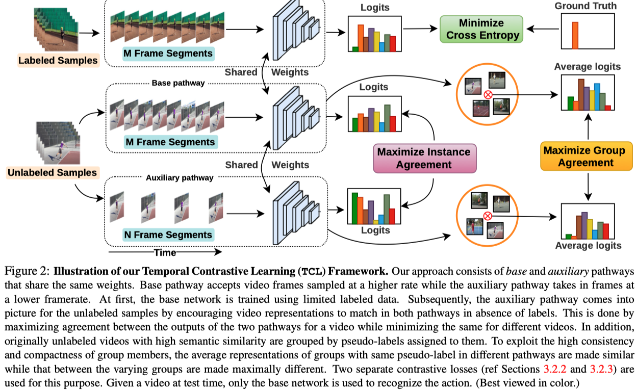 论文阅读（21CVPR）：Semi-Supervised Action Recognition with Temporal Contrastive Learning_tclr ...