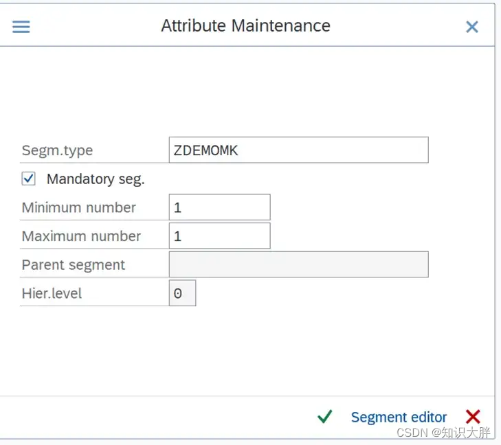 SAP 教程之 04 在 SAP 中创建 IDoc 类型 [WE30]_sap we30-CSDN博客