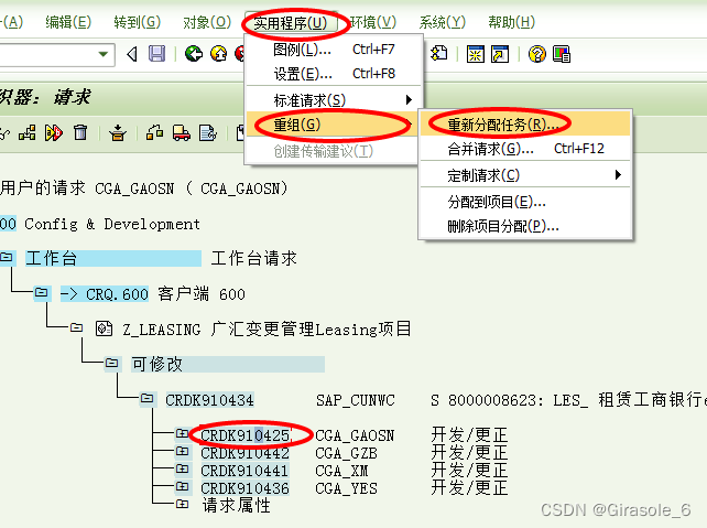SAP TR请求相关总结-CSDN博客