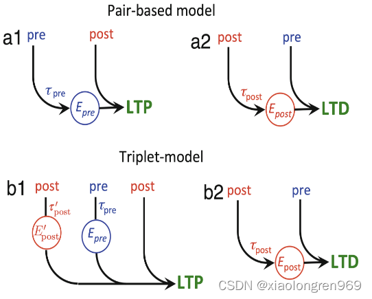 Spike Timing Dependent Plasticity（STDP）-CSDN博客