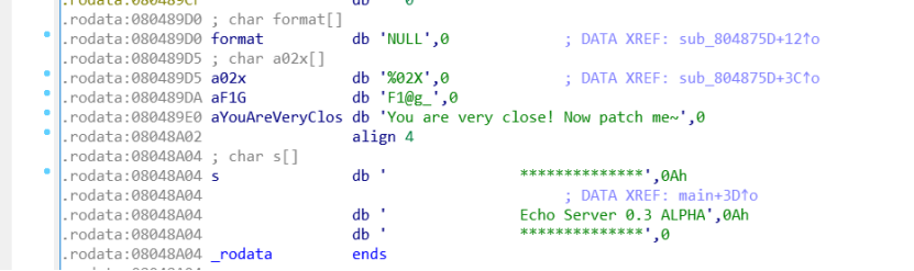 XCTF-攻防世界CTF平台-Reverse逆向类——54、echo-server（Linux32位ELF文件、花指令混淆反汇编）_you are very close! now patch ...