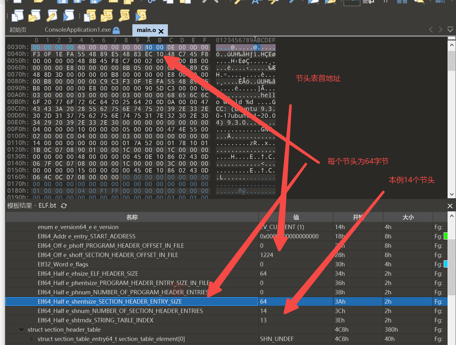 ELF格式解读-(1) elf头部与节头-CSDN博客