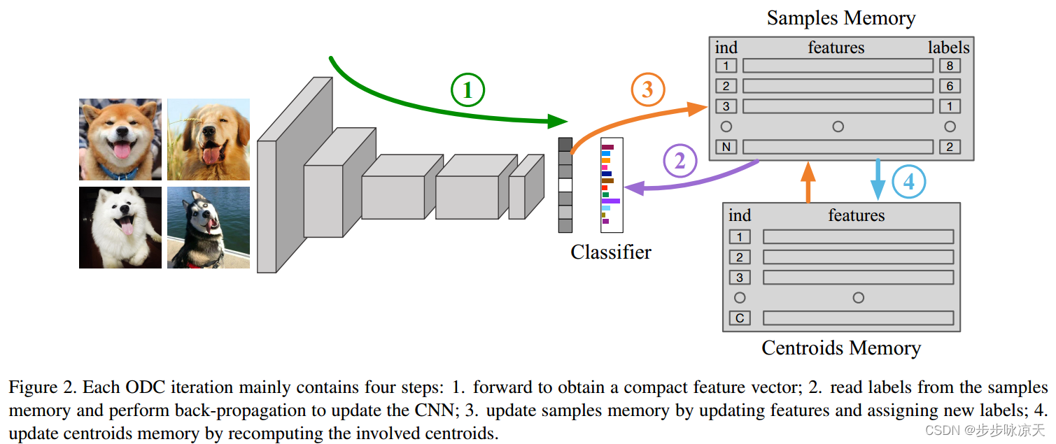 Online Deep Clustering For Unsupervised Representation Learning 