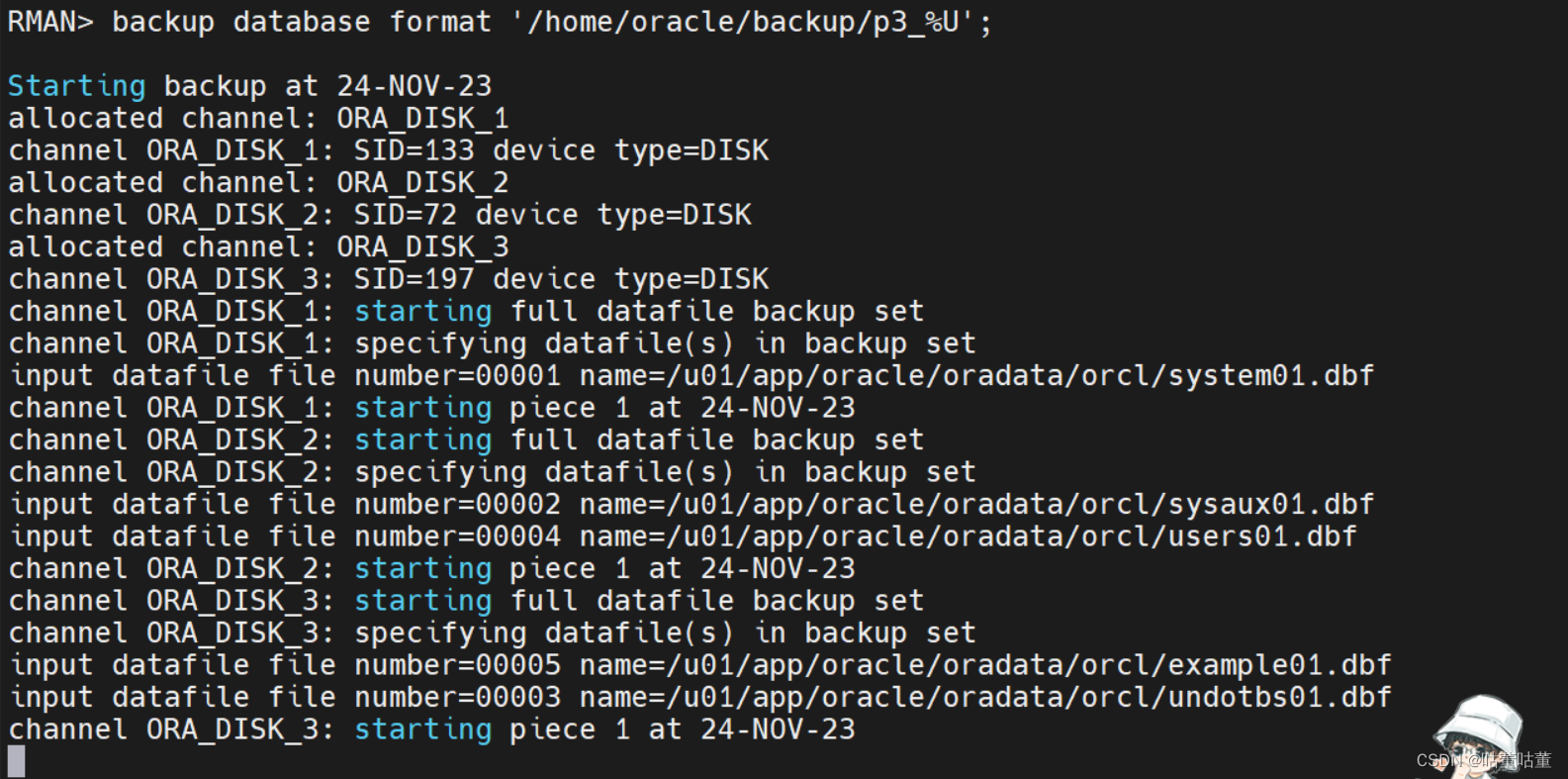 十一、RMAN备份-CSDN博客