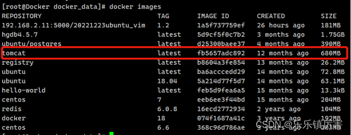 Docker安装tomcat与mysql_docker 镜像tomcat启动需要配置mysql-CSDN博客