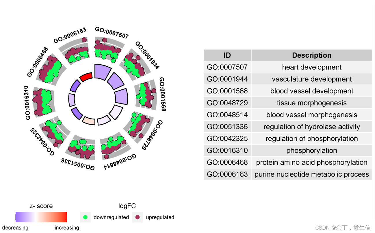 零代码在线绘制GO富集结果GOcircle图_go分析结果作图-CSDN博客
