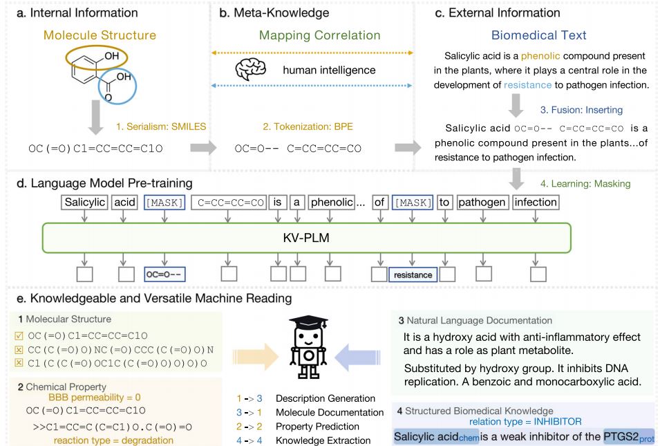A deep-learning system bridging molecule structure and biomedical text with comprehension ...