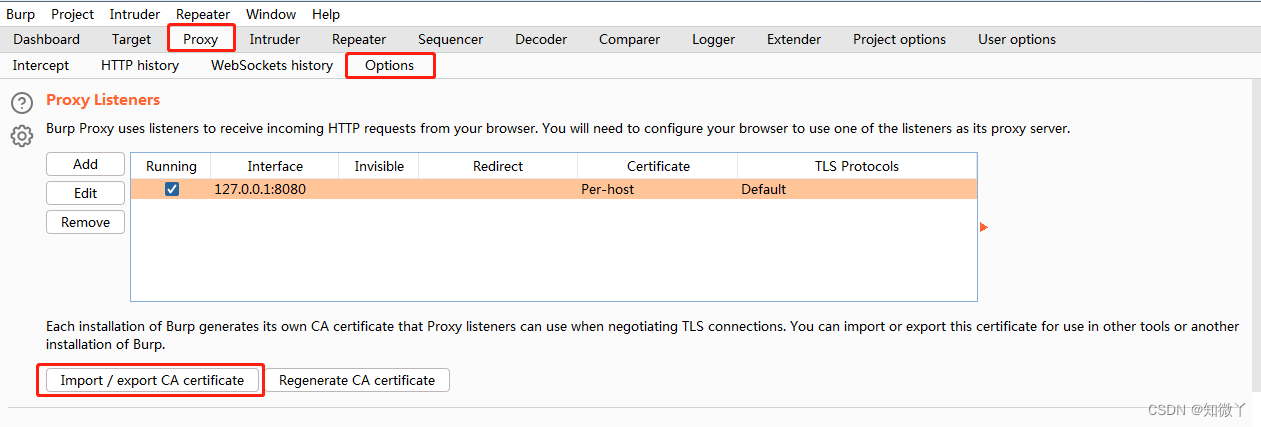Windows 上Burp Suite的安装与使用_burpsuite windows-CSDN博客