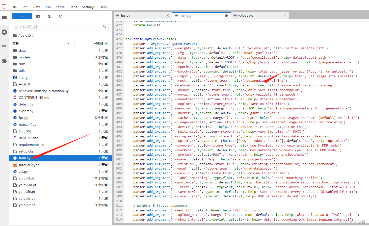 YOLOv5 训练 SCB-Dataset3-S_scb3数据集-CSDN博客