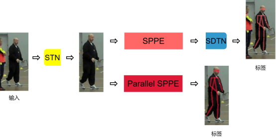 Alphapose论文代码详解-CSDN博客