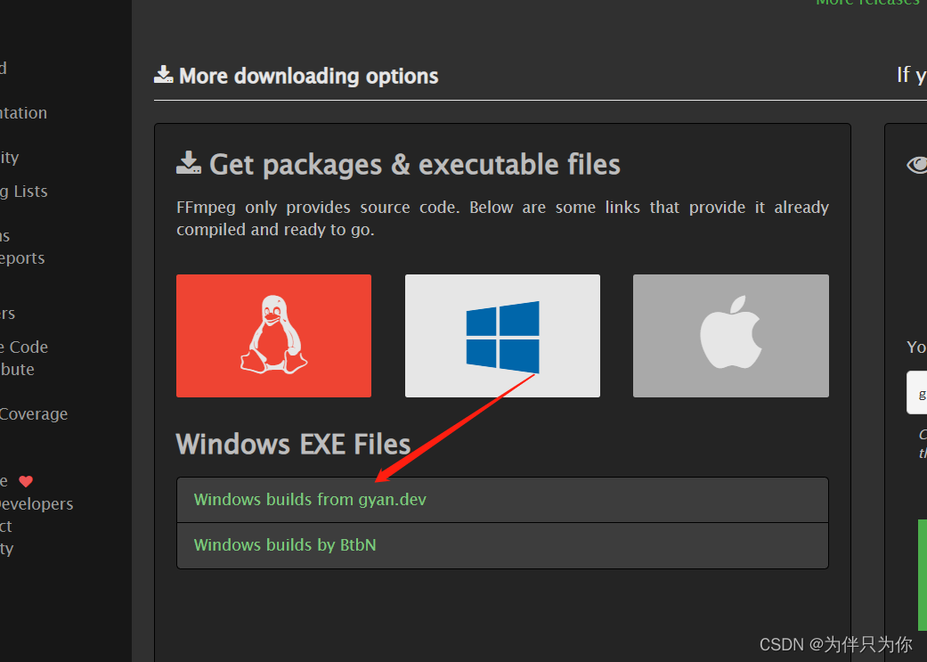 录屏软件Captura报错Unknown encoder ‘libx264‘_captura发生了一个错误-CSDN博客