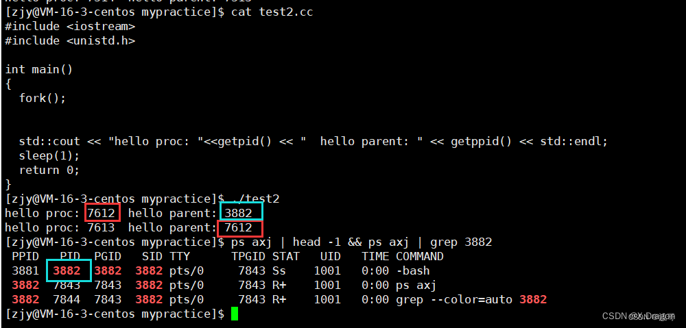 Linux——创建进程Fork（）_linux fork进程创建-CSDN博客