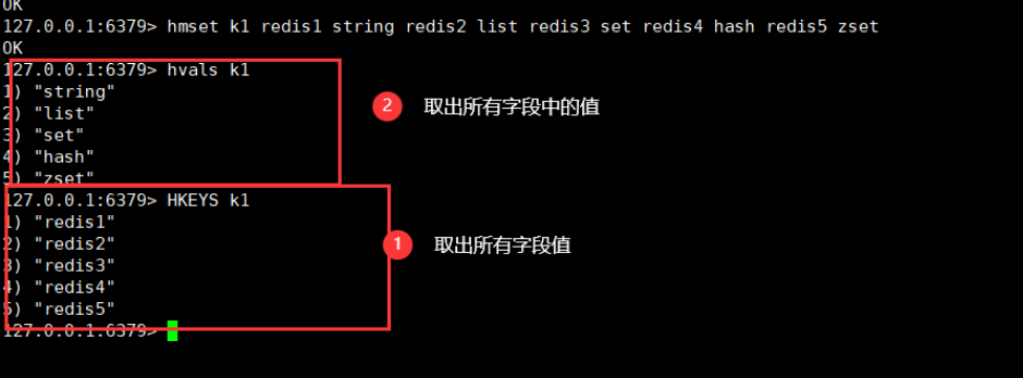 Redis数据类型概念-底层_redisutil.hset-CSDN博客