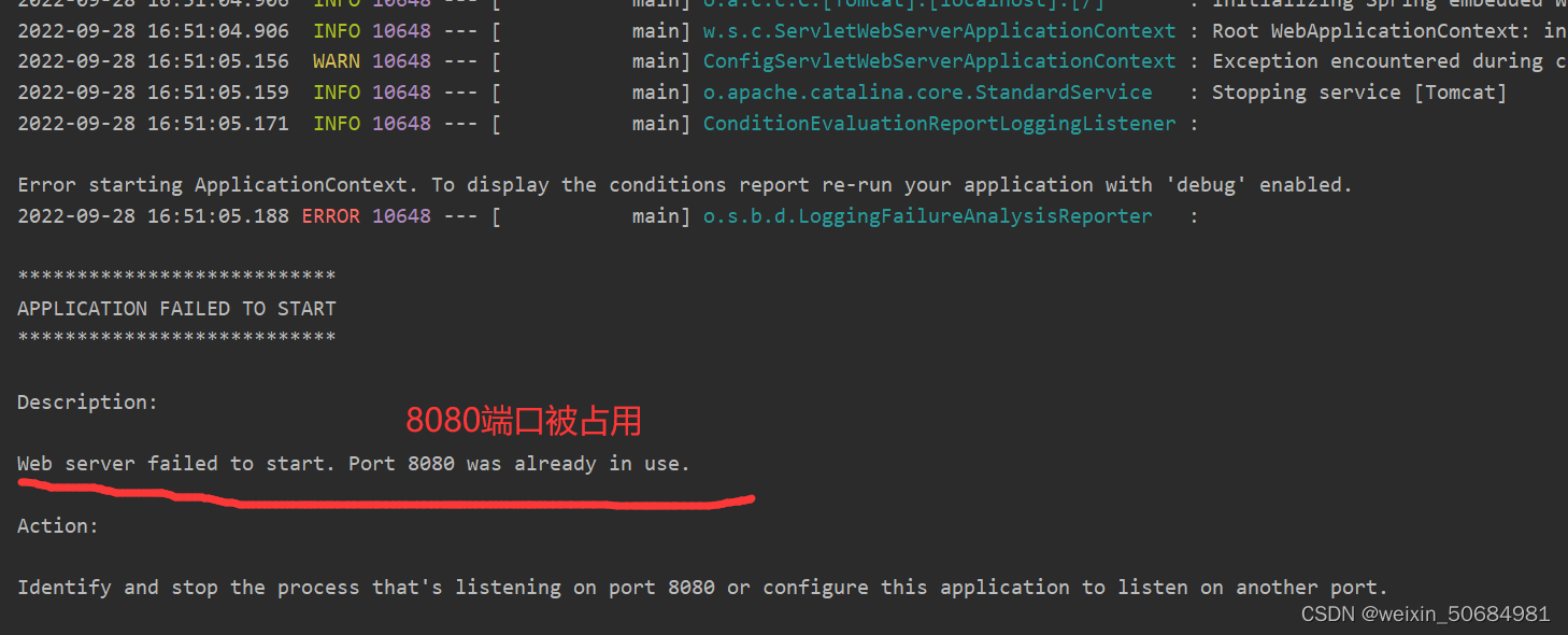 Springboot运行报错error Starting Applicationcontext To Display The Conditions Report Re Run Ew帮帮网