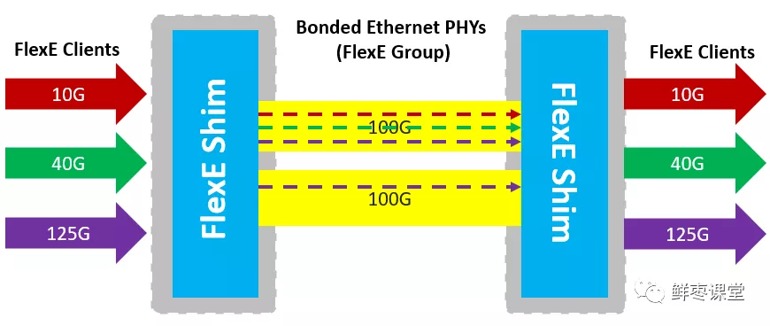 互联网协议 — FlexE_flexe总结-CSDN博客