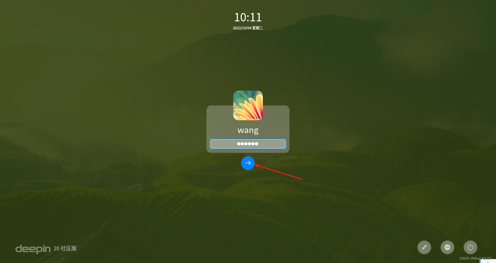 Vmware安装deepin系统 Csdn博客 