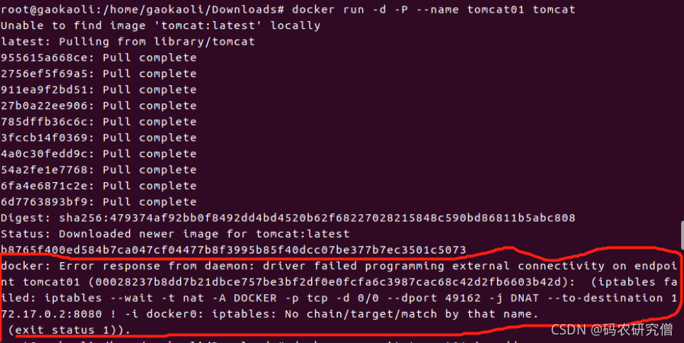 Docker出现error Response From Daemon Driver Failed Programming External