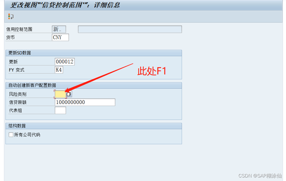 SAP770系统FI模块配置（定义信贷控制范围）_sap信贷控制范围-CSDN博客