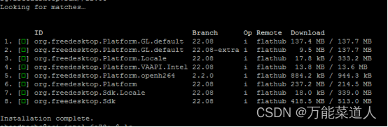 flatpak做包体验步骤记录_flatpak打包离线应用程序-CSDN博客