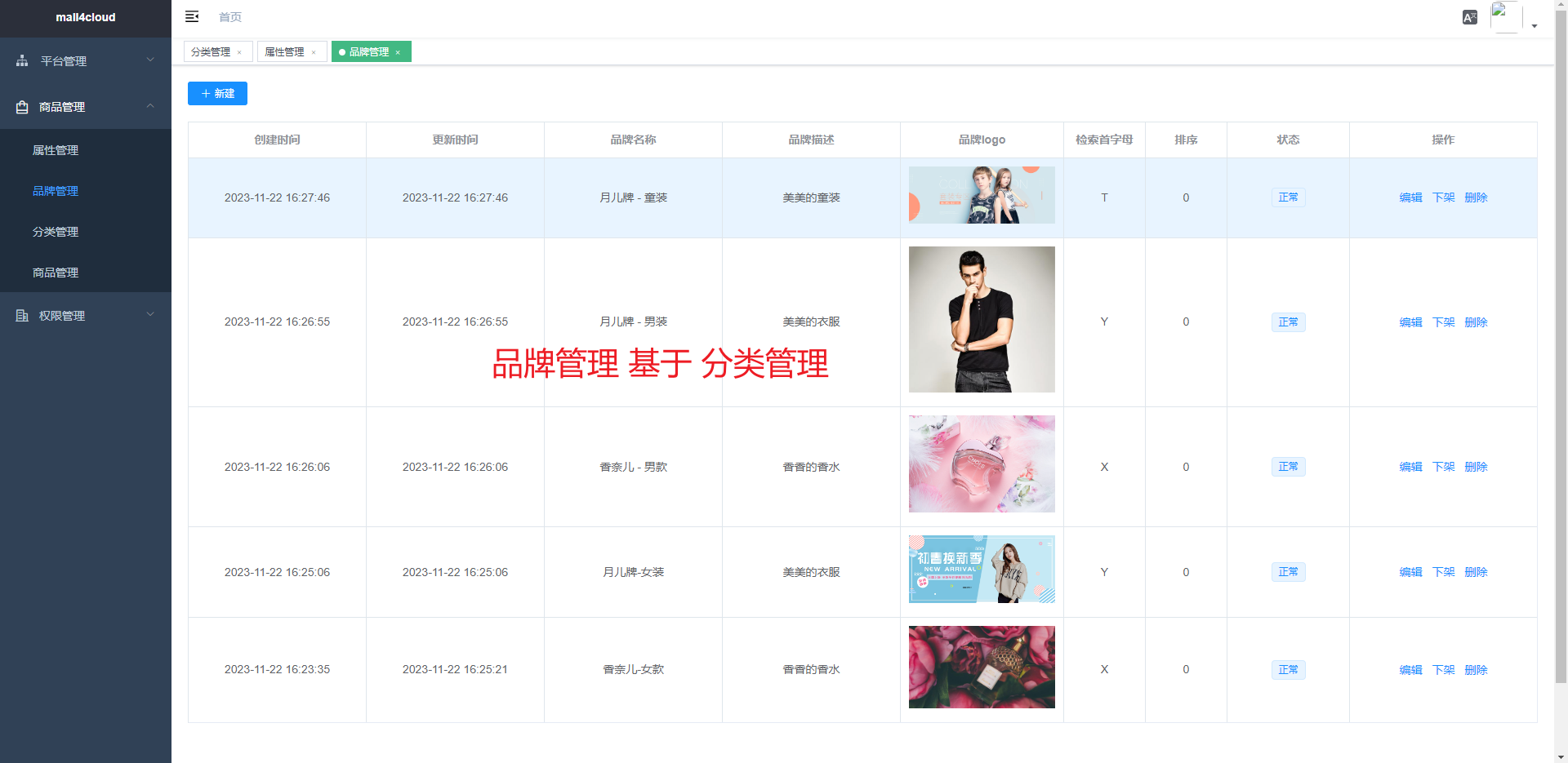 Mall4j商城实战 - 部署指南 (一篇文章带你玩转各种技术)_mall4j教程-CSDN博客