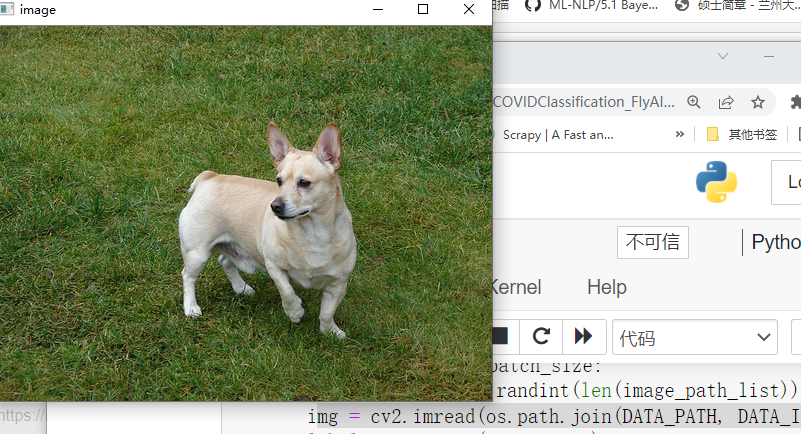 Error 215assertion Failed Sizewidth＞0 Andand Sizeheight＞0 In Function ‘cvimshow‘error 