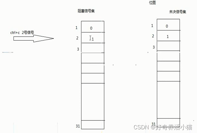Linux系统信号07信号的概念，阻塞信号集未决信号集信号的产生，raise和abort，alarm发送信号，setitime使用，信号集的函数，sigaction捕捉 