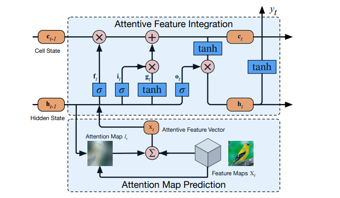 细粒度分类：Diversified Visual Attention Networks-CSDN博客