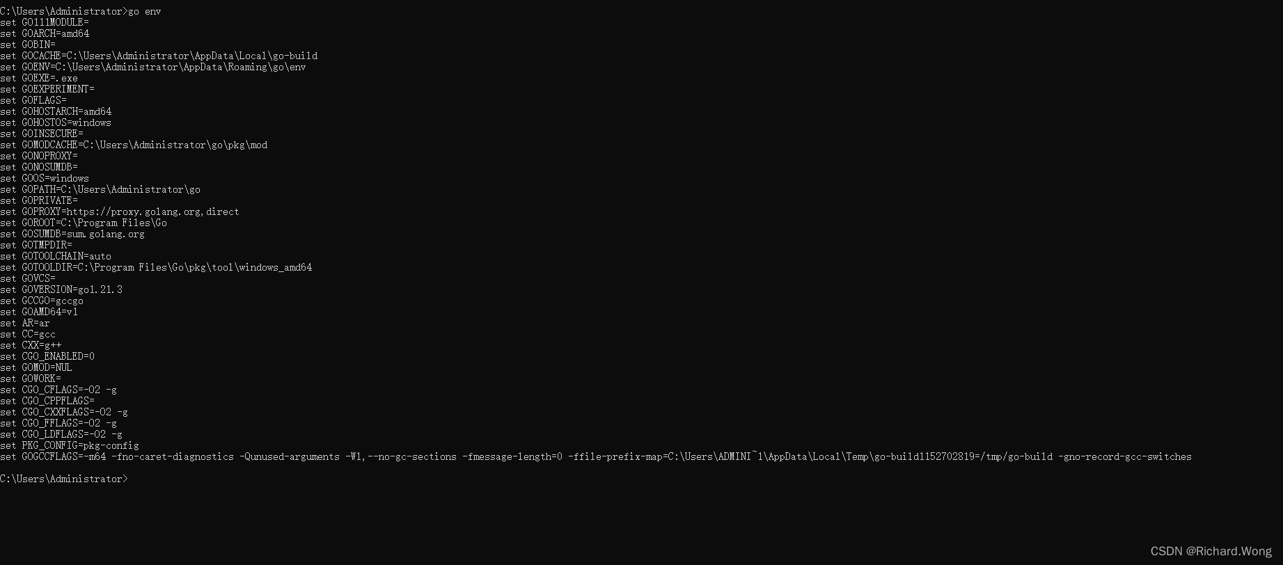 goland安装教程_goland goproxy-CSDN博客