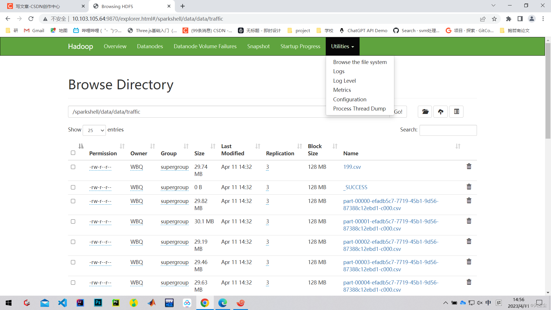 Hadoop基础-提交应用程序（wordcount为例）_hadoop提交任务命令-CSDN博客