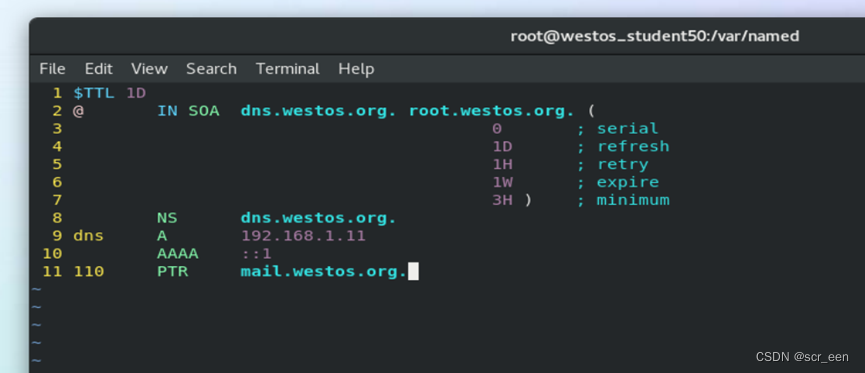 （3.6）企业dns服务器搭建_dns $ttl 1d-CSDN博客