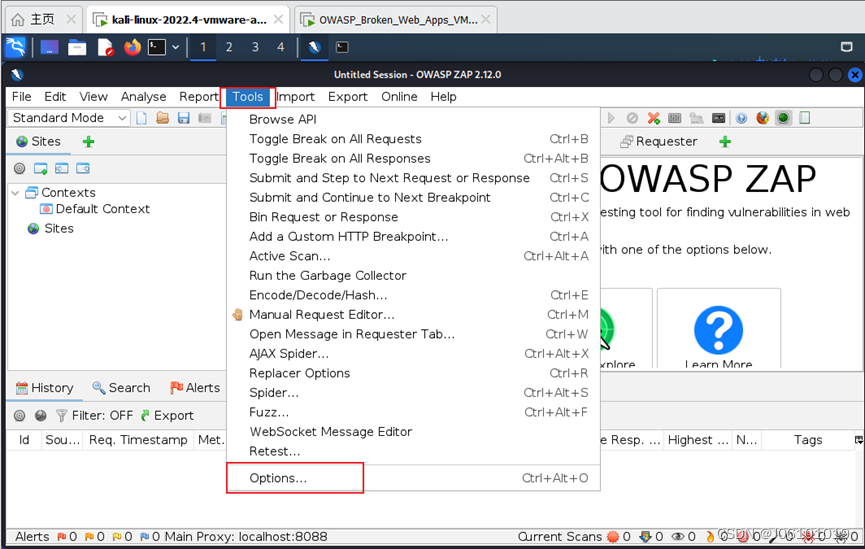 使用ZAP寻找敏感文件和目录_zap 工具 底部展示-CSDN博客