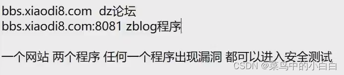 基础入门，小迪_wpe封包四件套-CSDN博客