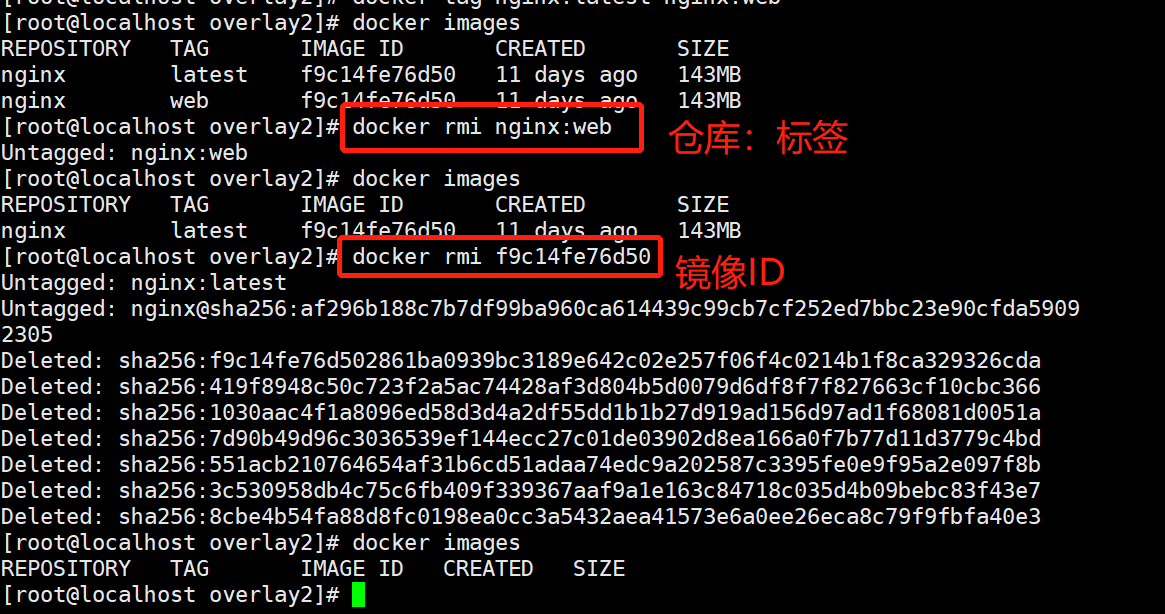 云原生docker镜像管理 Csdn博客