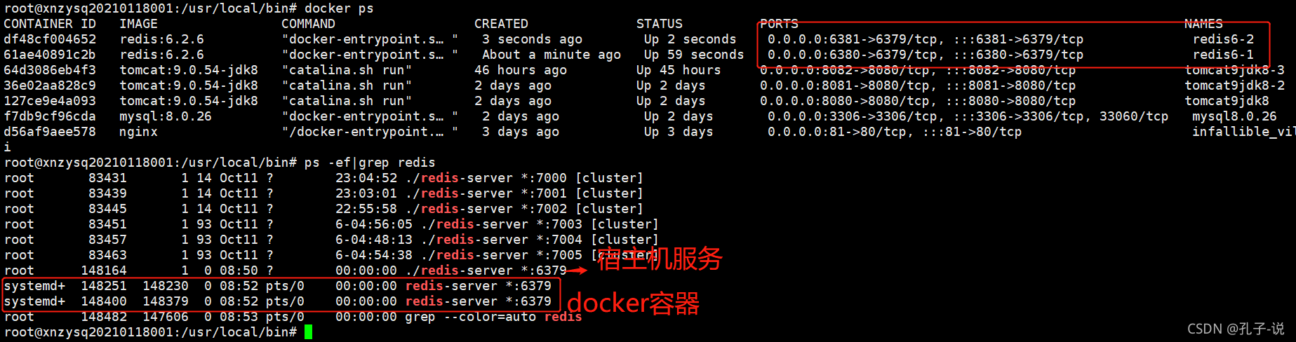 Docker教程 4 Redis容器的安装配置使用 Docker Redis配置文件路径 Csdn博客