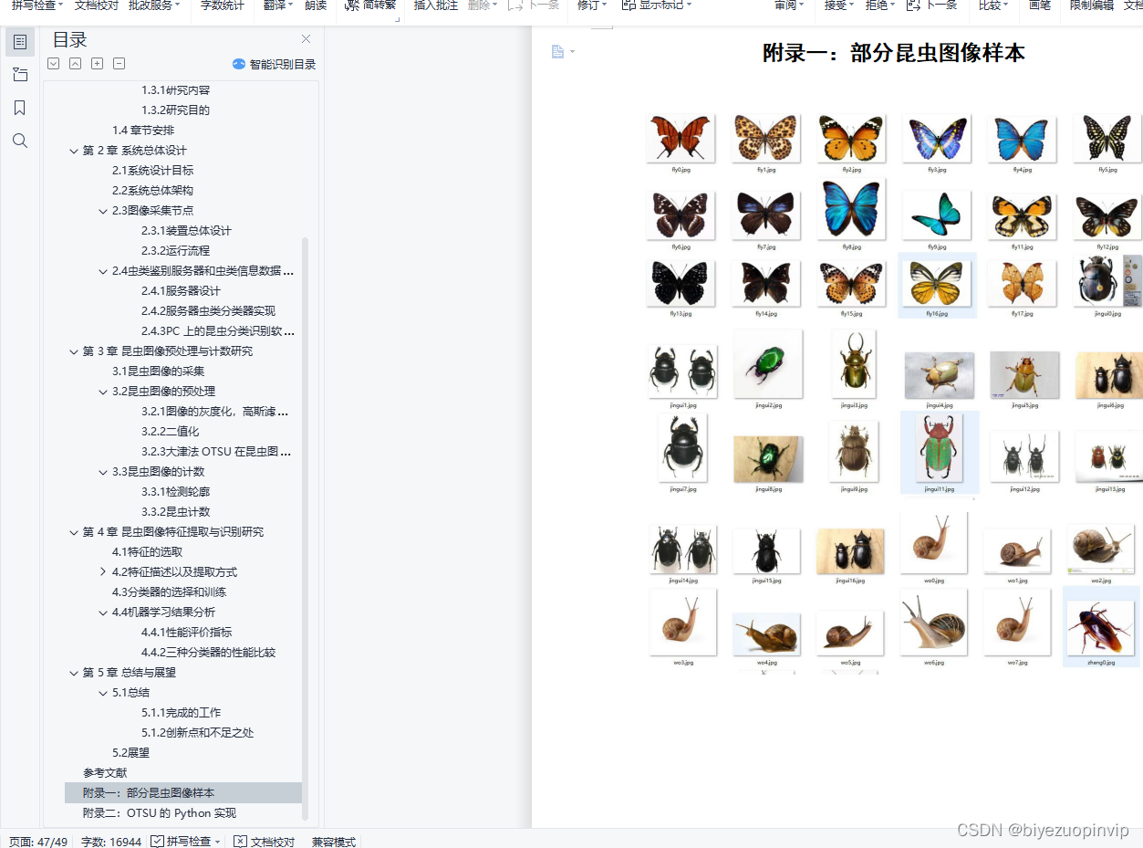 基于python机器视觉的远程害虫种类识别和数量检测系统 报告项目源码及数据害虫识别python Csdn博客