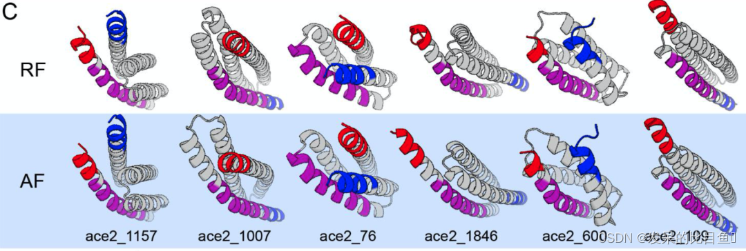 几行深度学习代码设计包含功能位点的候选免疫原、酶活性位点、蛋白结合蛋白、金属配位蛋白_rosetta inpainting-CSDN博客