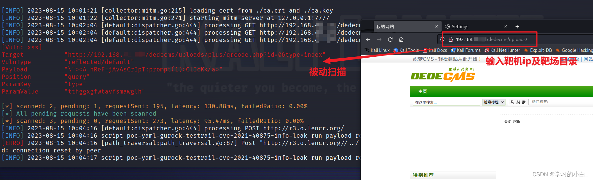 Xray——Windows及Linux安装_xray安装教程-CSDN博客