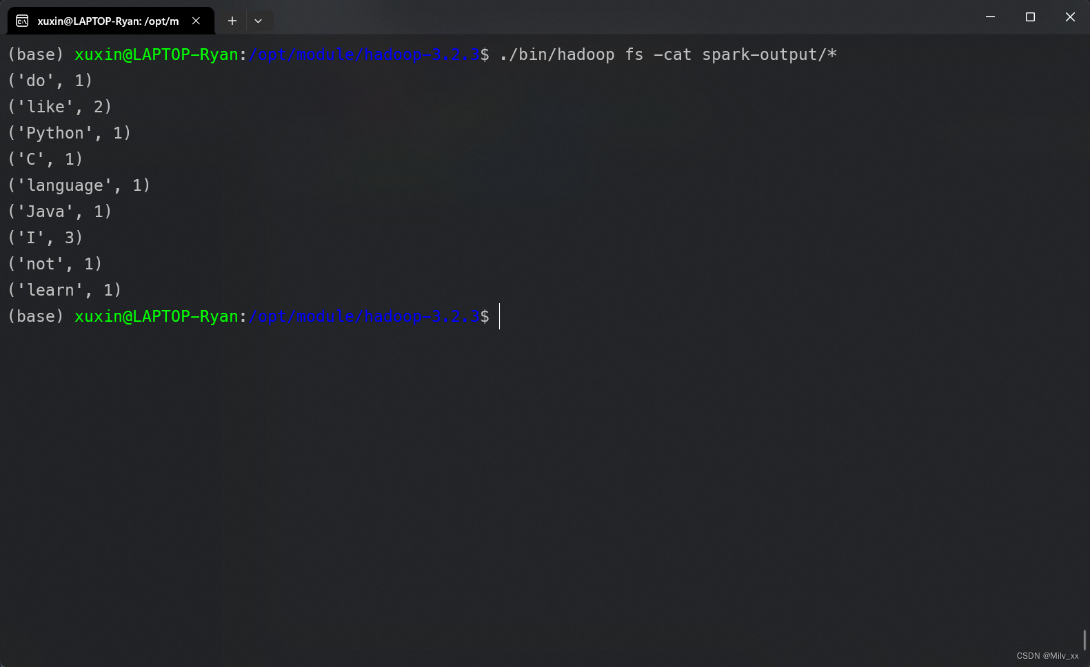 WSL + Vscode一站式搭建Hadoop伪分布式 + Spark环境_vscode hadoop 插件-CSDN博客